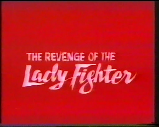 Schlock Treatment Archive: The Revenge Of The Lady Fighter (1973)
